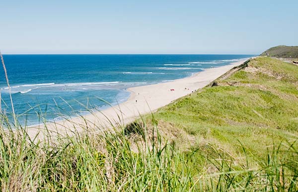 Provincetown Beach Guide – Cape Colony Inn